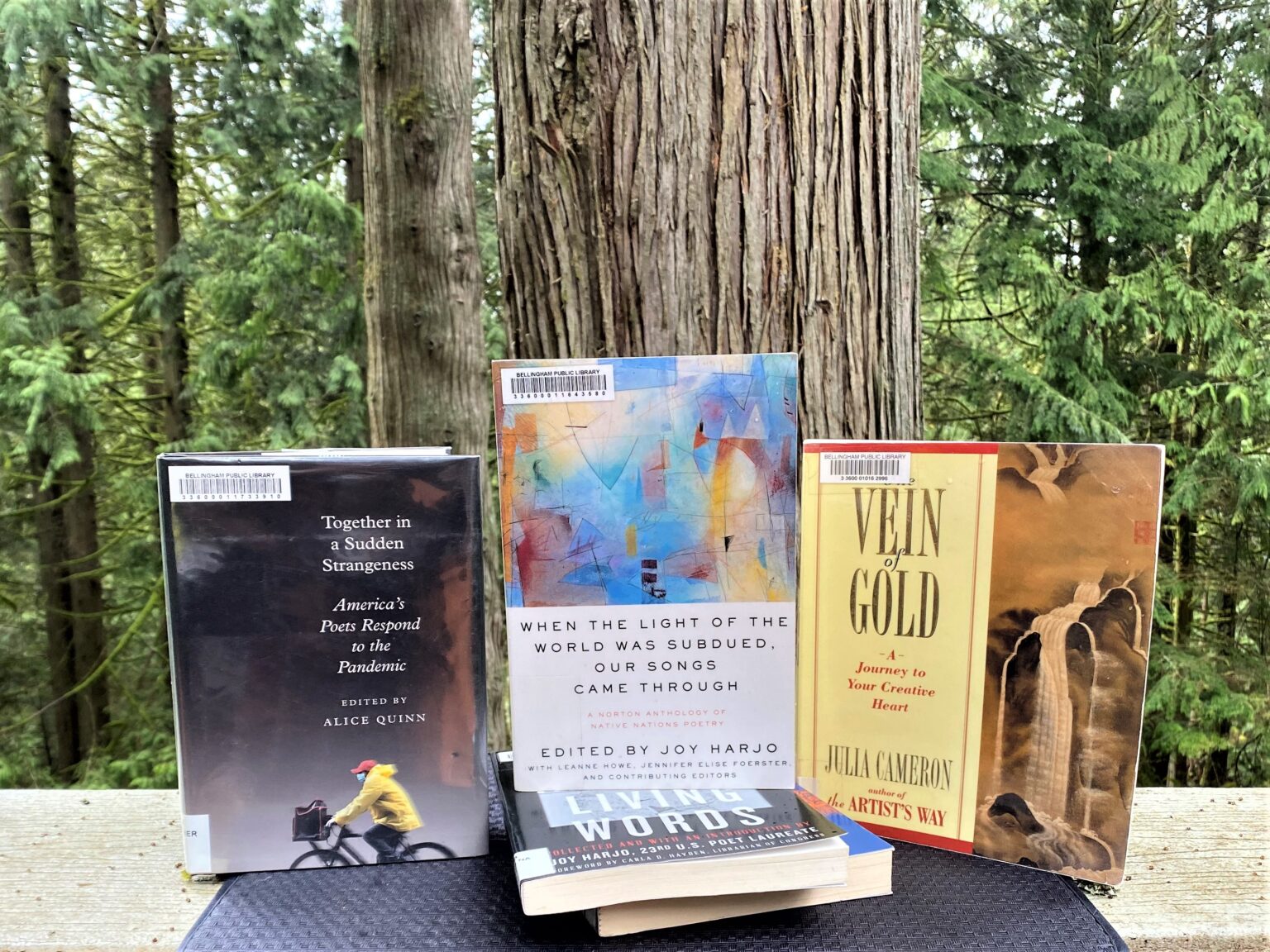 Home - Bellingham Public Library